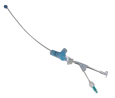 Endobronchial Blockers - Biotronix Healthcare Inc.