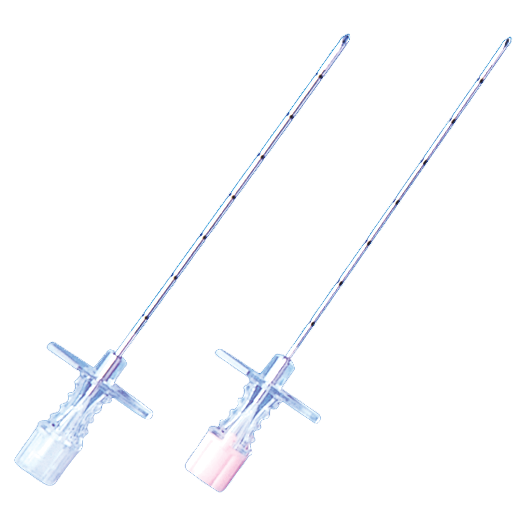 Epidural Anesthesia - Biotronix Healthcare Inc.