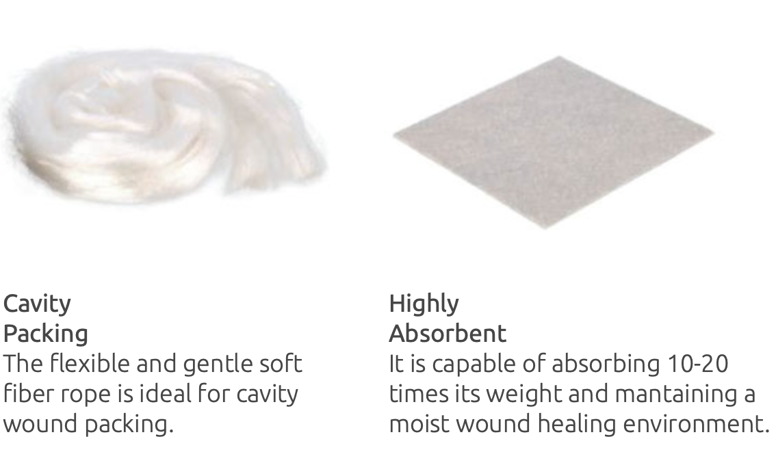 Alginate Dressing - Biotronix Healthcare Inc.
