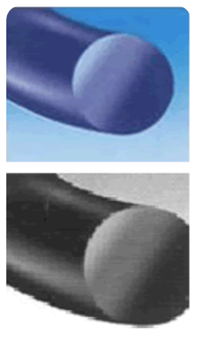 Polydioxanone - Biotronix Healthcare Inc.